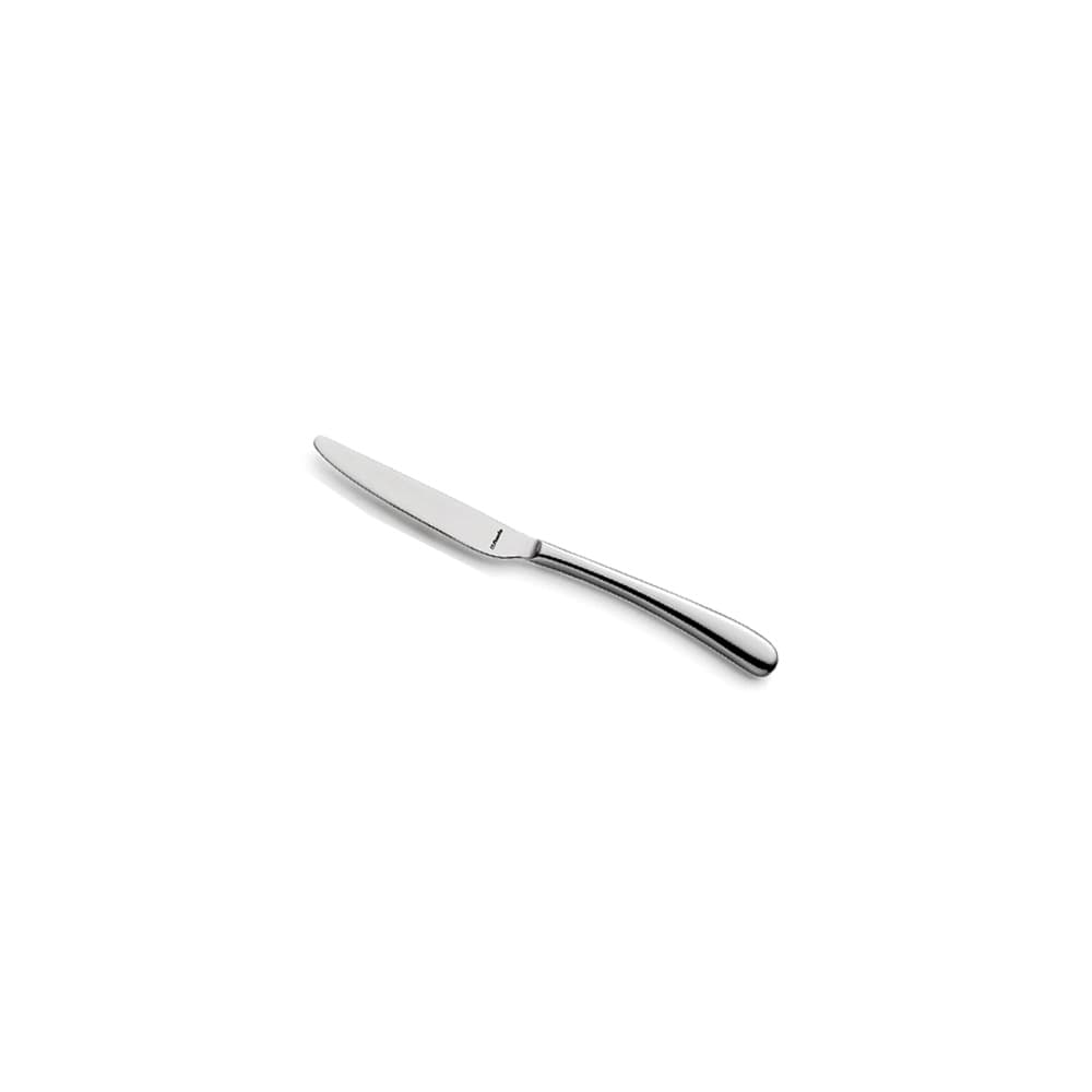 Cuchillo de Postre Newton | Elegancia en acero inoxidable